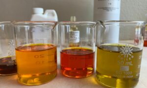 Dry Oils & Drying Oils Part 1 – Susan M Parker