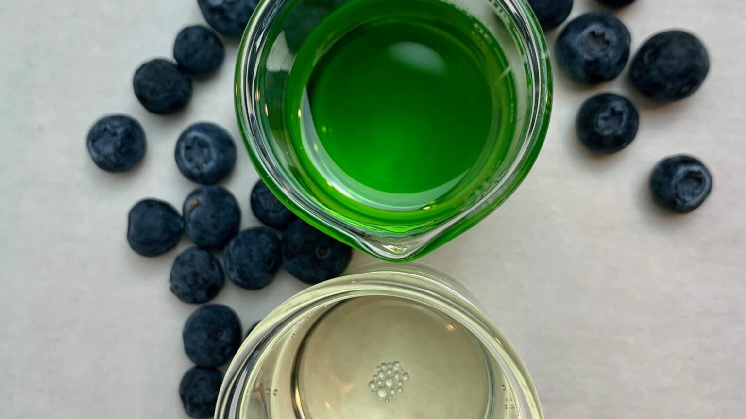 Blueberry Seed Oil – Susan M Parker